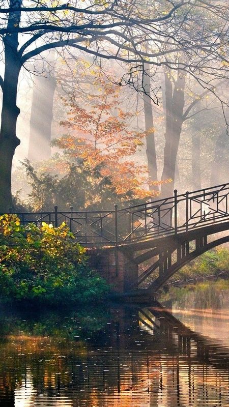 Romantic Nature Background