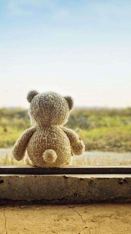 Lonely Teddy Bear Wallpaper
