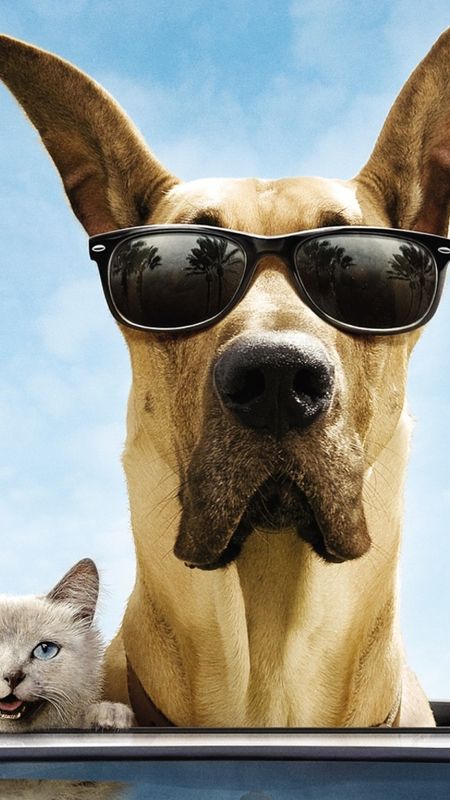 Crazy Dogs