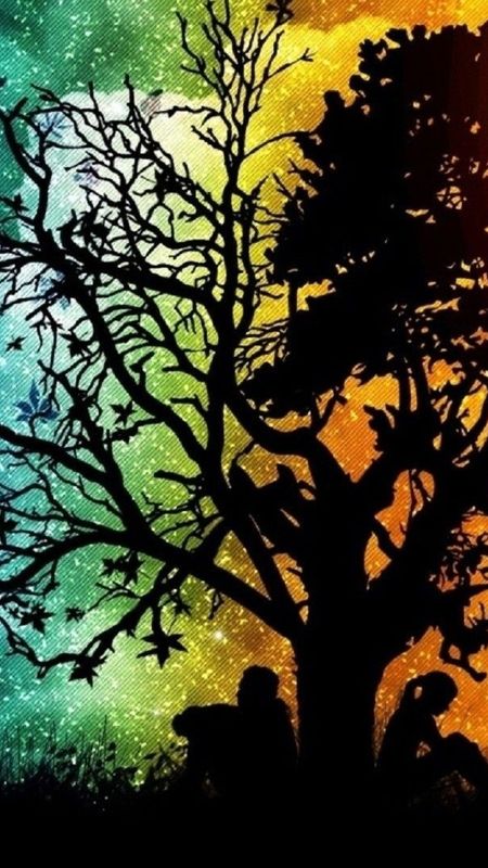 Tree Night Day Morning
