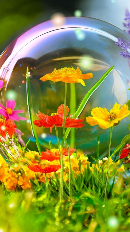 Flower Themes Download