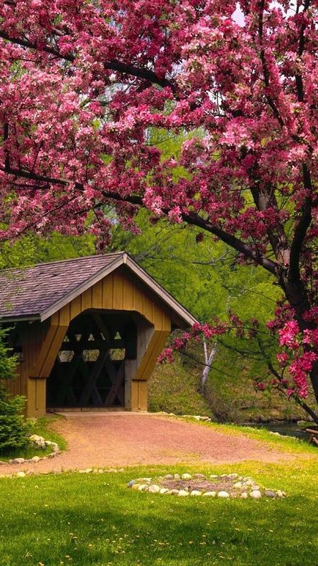 May Nature Wallpaper